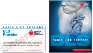 Explore All Courses - Heart Start CPR