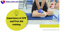5 Importance of CPR and First Aid Training