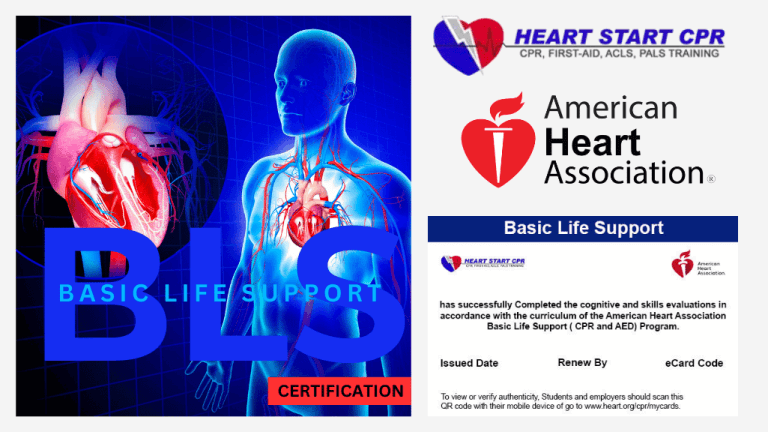 BLS Study Guide - Heart Start CPR