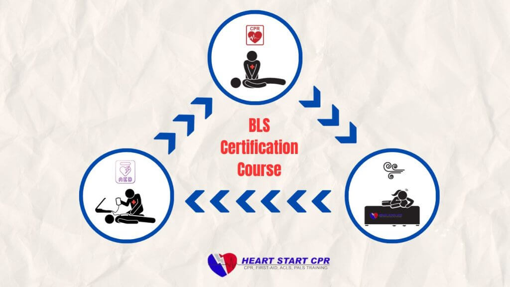 What is BLS Certification? Importance Of Basic Life Support Training