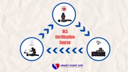 What is BLS Certification? Importance Of Basic Life Support Training