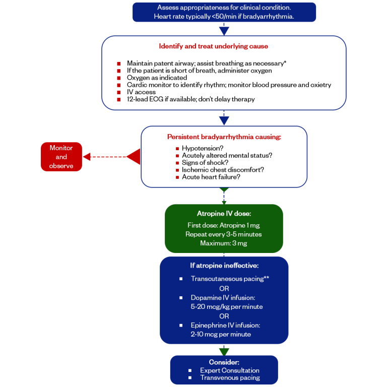ACLS Bradycardia Algorithm | Causes & Treatments - Heart Start CPR