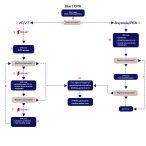 AHA ACLS Algorithms & Flowcharts 2020-2025: Emergency Cardiovascular ...