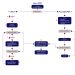 AHA ACLS Algorithms & Flowcharts 2020-2025: Emergency Cardiovascular ...