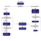 AHA ACLS Algorithms & Flowcharts 2020-2025: Emergency Cardiovascular ...