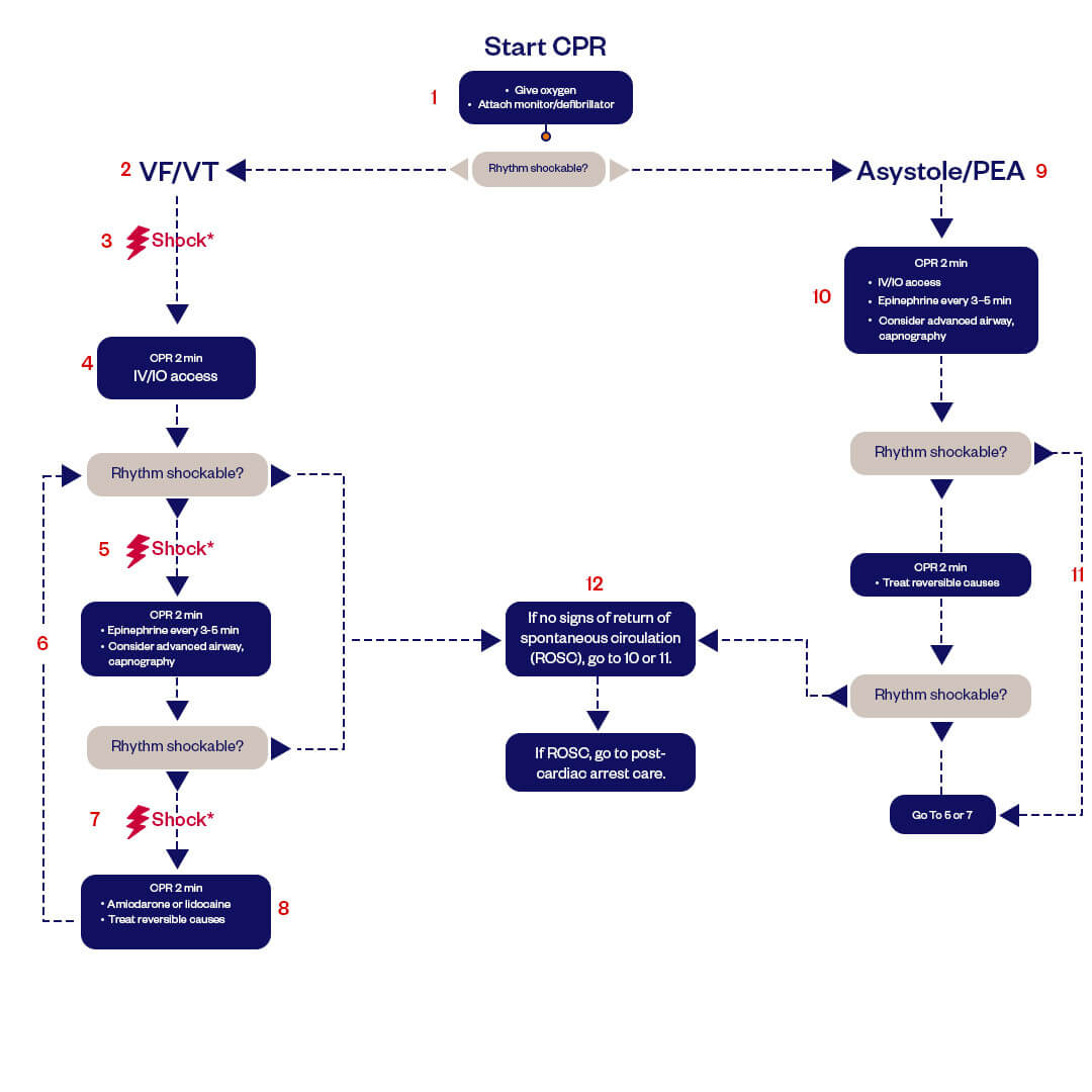 AHA ACLS Algorithms Flowcharts 2020 2025 Emergency Cardiovascular