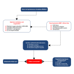 AHA ACLS Algorithms & Flowcharts 2020-2025: Emergency Cardiovascular ...