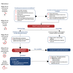 AHA ACLS Algorithms & Protocols for 2024