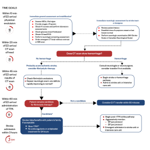 AHA ACLS Algorithms & Flowcharts 2020-2025: Emergency Cardiovascular ...