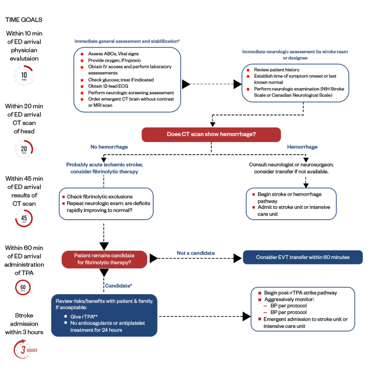 AHA ACLS Algorithms & Flowcharts 2020-2025: Emergency Cardiovascular ...
