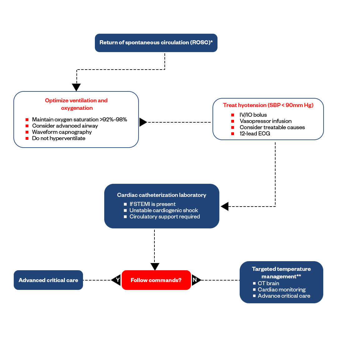 AHA ACLS Algorithms Flowcharts 2020 2025 Emergency Cardiovascular AHA ACLS Algorithms Flowcharts 2020 2025 Emergency Cardiovascular