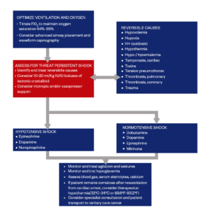 Pediatric Post-Resuscitation Care Algorithm: Return of Spontaneous ...