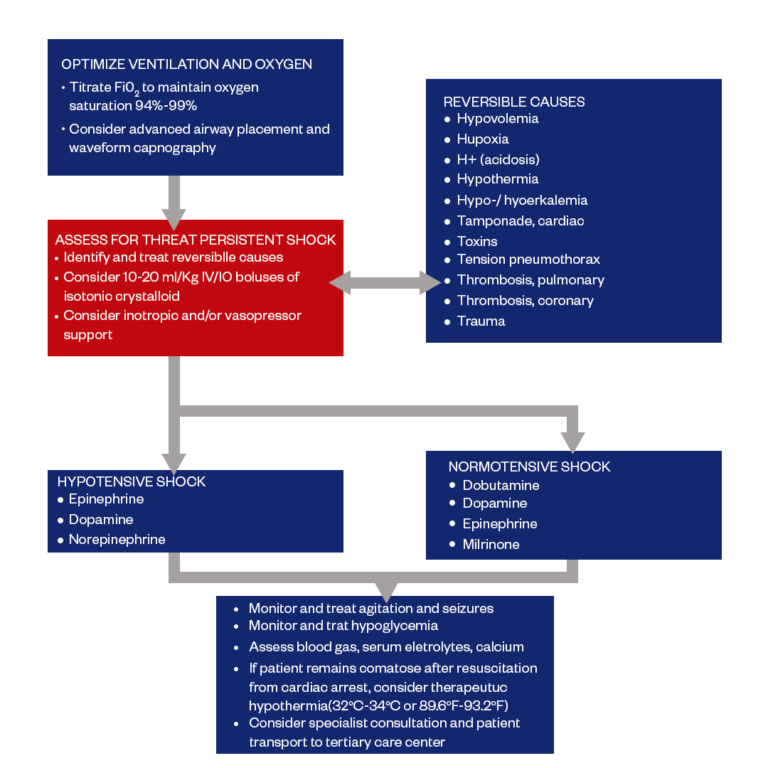 Pediatric Post-Resuscitation Care Algorithm: Return of Spontaneous Circulation (ROSC) - Heart ...