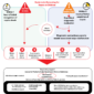 Pediatric Septic Shock Algorithm - Heart Start CPR