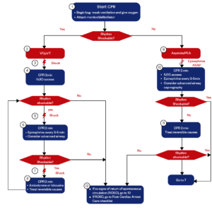 Pediatric Cardiac Arrest Algorithm - Heart Start CPR
