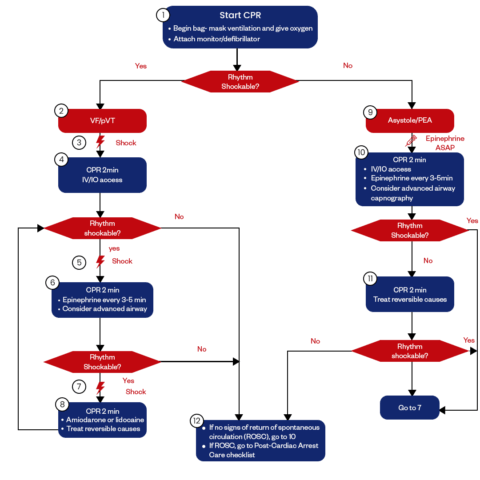 Pediatric Cardiac Arrest Algorithm - Heart Start CPR