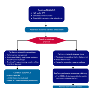 AHA ACLS Algorithms & Flowcharts 2020-2025: Emergency Cardiovascular ...