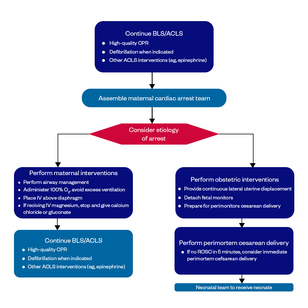 AHA ACLS Algorithms Flowcharts 2020 2025 Emergency Cardiovascular