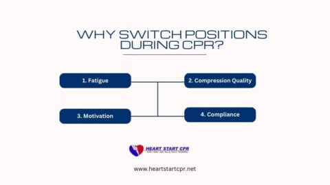 When to Switch Rescuer Positions During CPR?