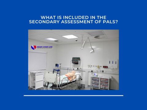 What is Included in the Secondary Assessment of PALS?