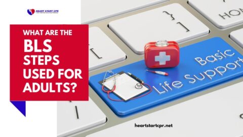 BLS Steps for Adults: Correct Sequence for Basic Life Support