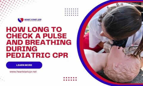 How long should you spend checking for a pulse and normal breathing ...