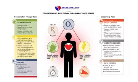 Resuscitation Triangle Roles in ACLS High-Performance Team