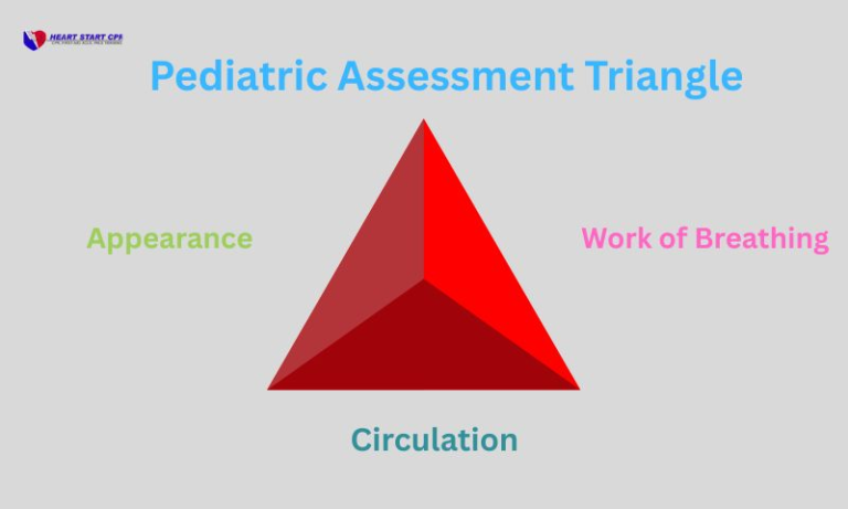 Comprehensive PALS Study Guide for 2025 | Fast & Easy Review
