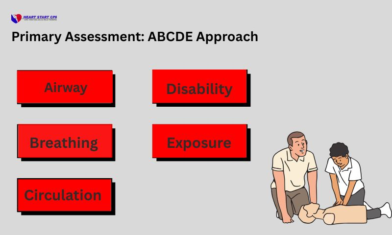 Comprehensive PALS Study Guide for 2025 | Fast & Easy Review